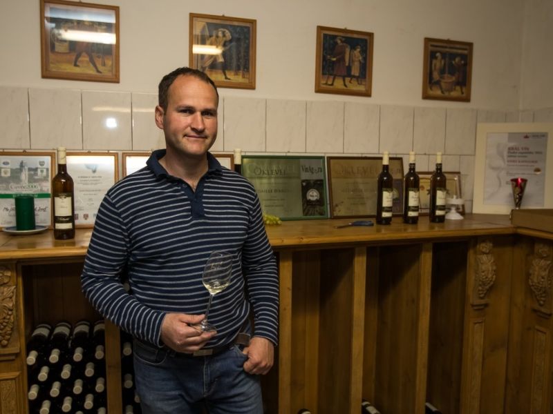 Dunajovské kopce - spolek vinařů - Vinařství