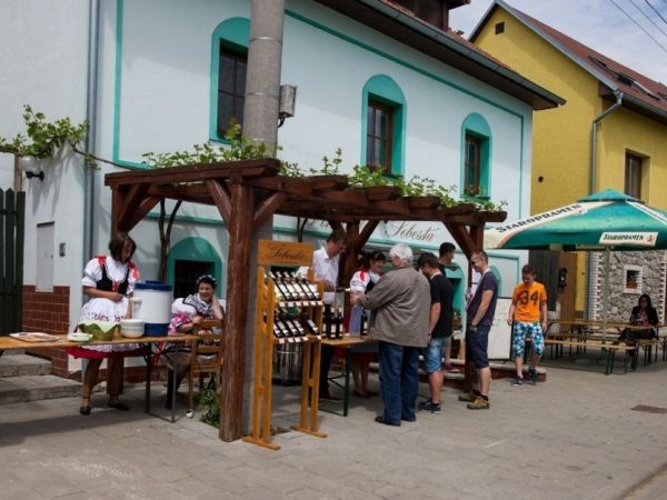 Dunajovské kopce - spolek vinařů - Vinařství Martin Šebesta