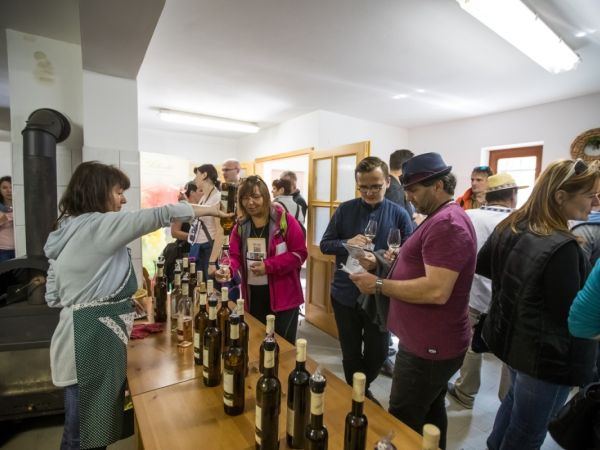 Dunajovské kopce - spolek vinařů - Vinařství Martin Šebesta