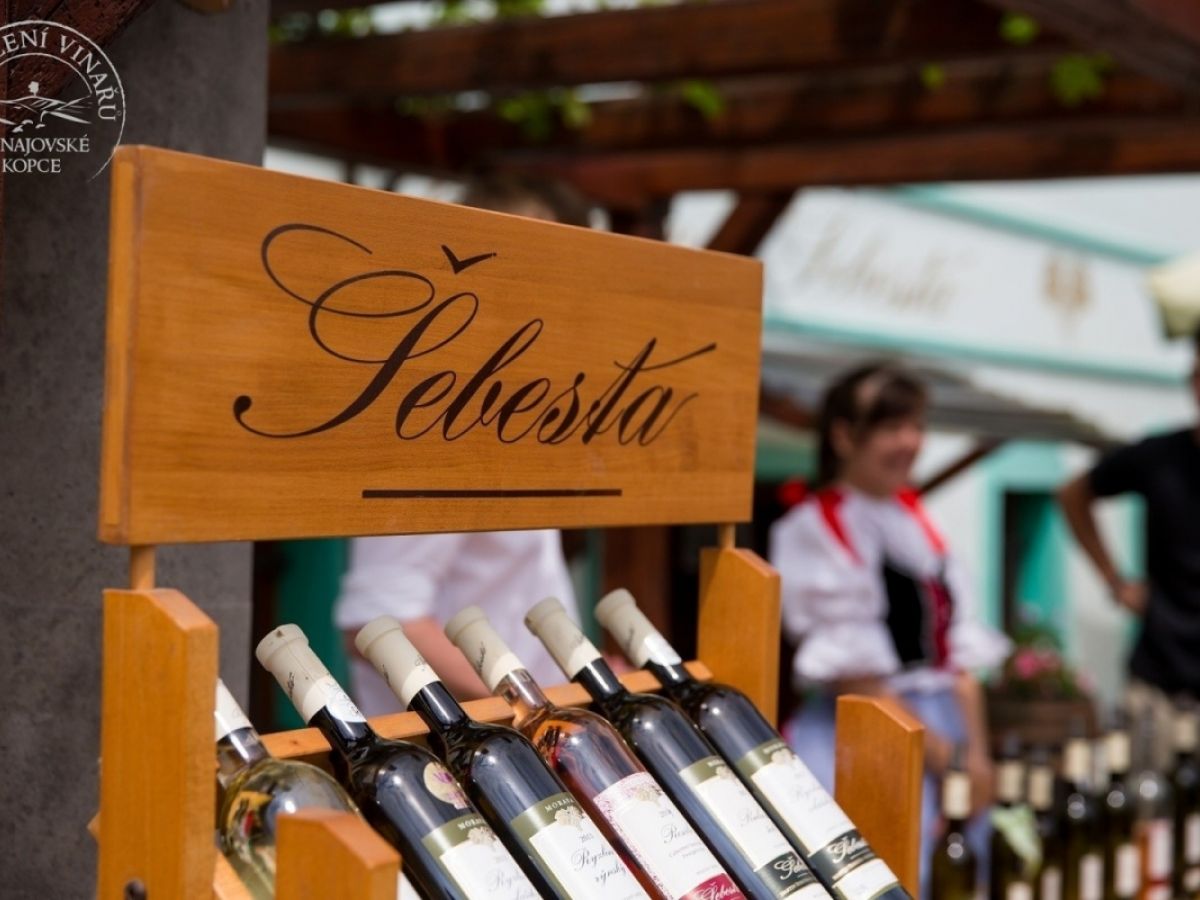 Dunajovské kopce - spolek vinařů - Vinařství Martin Šebesta